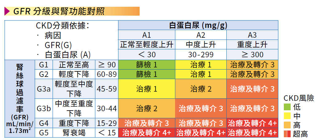 守護腎臟，從尿蛋白與腎絲球過濾率開始 | 財團法人糖尿病關懷基金會